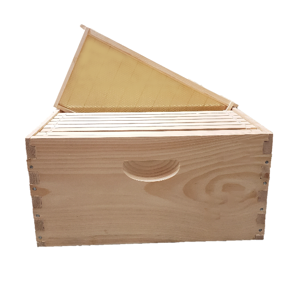 Assembled 10 Frame Hive Bodies with Frames and Foundations (Select ...